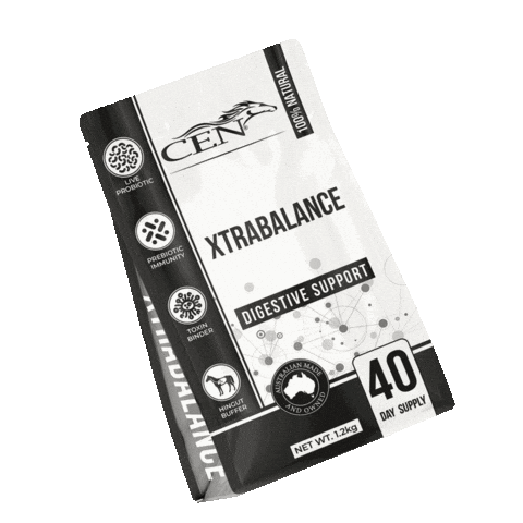 CEN Horse GIFs on GIPHY - Be Animated