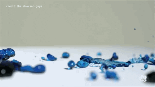 Slow-mo-guys GIFs - Get the best GIF on GIPHY