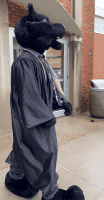 TC and TK GIFs on GIPHY - Be Animated