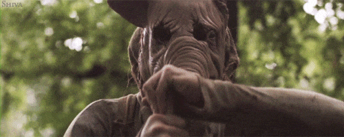 Pig-Mask GIFs - Find & Share on GIPHY