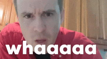 Wha GIF by Luke Guy - Find & Share on GIPHY