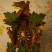 Funny Pictures Of Coo Coo Clocks