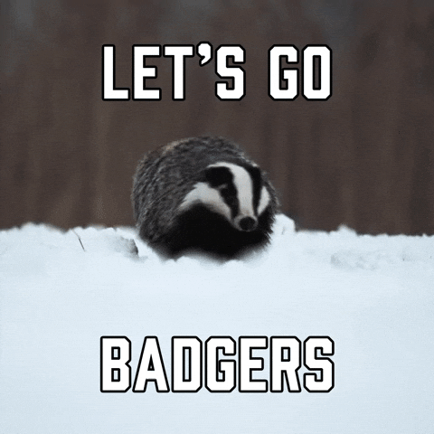 Wisconsin Badgers Sports GIFs - Get the best GIF on GIPHY