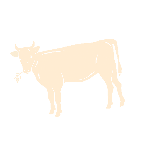 FOND Bone Broth GIFs on GIPHY - Be Animated