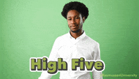 Self High Five Gif