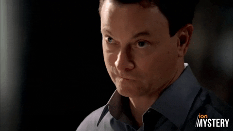 York Lions GIFs - Get the best GIF on GIPHY