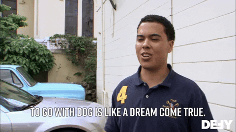 Where Dreams Come True GIFs - Get the best GIF on GIPHY