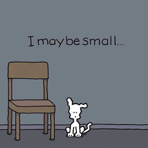 Dogdogs GIFs - Get the best GIF on GIPHY