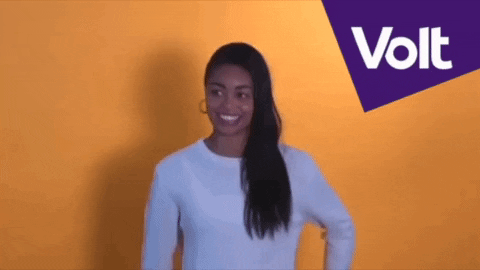 Volt Stemvolt GIF by VoltNetherlands - Find & Share on GIPHY