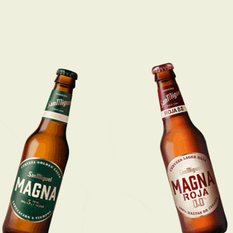 Cerveza Lager GIFs - Get the best GIF on GIPHY