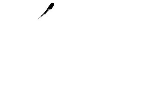 Black Feathers Falling Gif