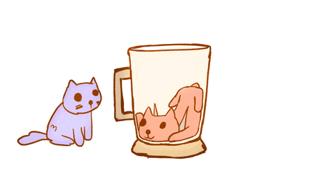 Cat-ice-cream GIFs - Get the best GIF on GIPHY