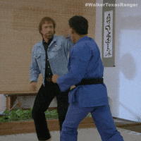 Chuck Norris Roundhouse Kick Animated Gif