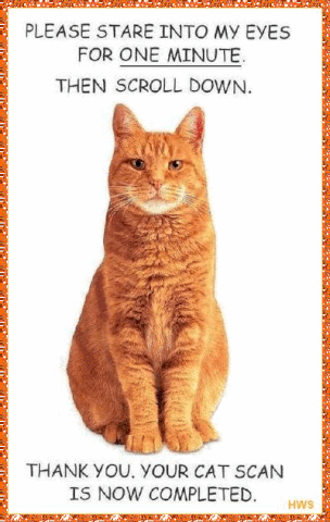 Retina Scan GIFs - Find & Share on GIPHY