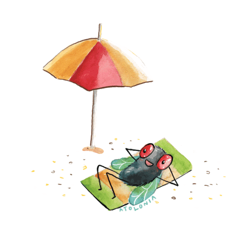 summer GIFs on GIPHY - Be Animated