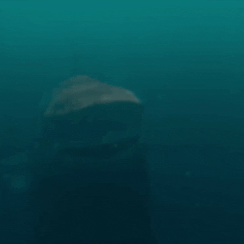 Megaladon GIFs - Get the best GIF on GIPHY