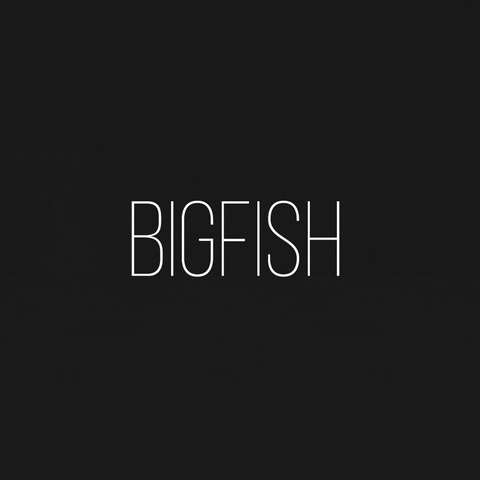 Big Fish GIFs on GIPHY - Be Animated