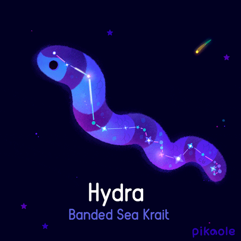 Sea-krait GIFs - Get the best GIF on GIPHY
