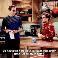 Sheldon Yes To All Gif