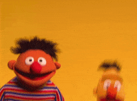 Bert Starrt Gif