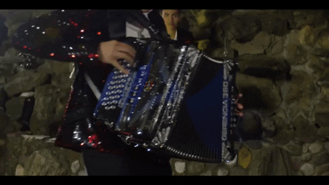 Accordion GIF by Cornelio Vega Y Su Dinastia - Find & Share on GIPHY