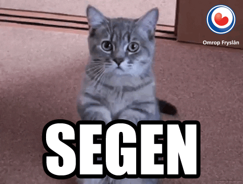 Segen GIFs - Get the best GIF on GIPHY