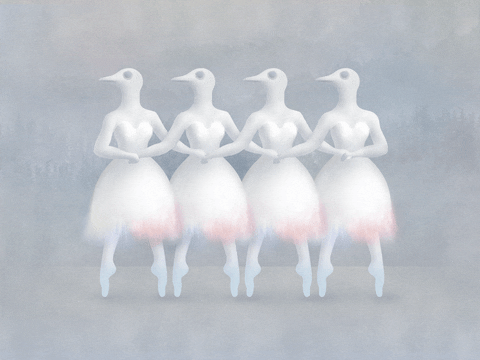 Ballerina-feet GIFs - Get the best GIF on GIPHY