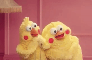 鸚鵡兄弟 (Poinko Brothers) GIFs on GIPHY - Be Animated