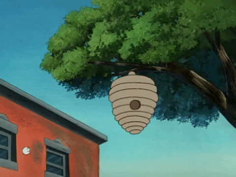 Waggle Dance GIFs - Get the best GIF on GIPHY