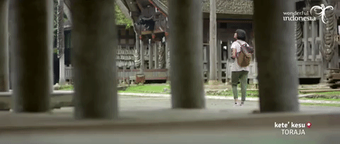 Toraja GIFs - Get the best GIF on GIPHY