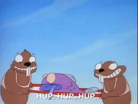 Hup-hup GIFs - Get the best GIF on GIPHY