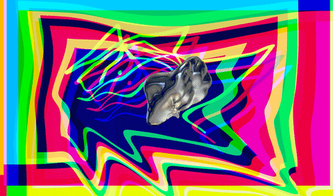 Color Studies GIFs - Get the best GIF on GIPHY