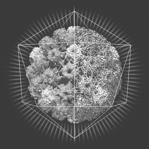 Trading Cards Virus GIF by NeonMob - Find & Share on GIPHY