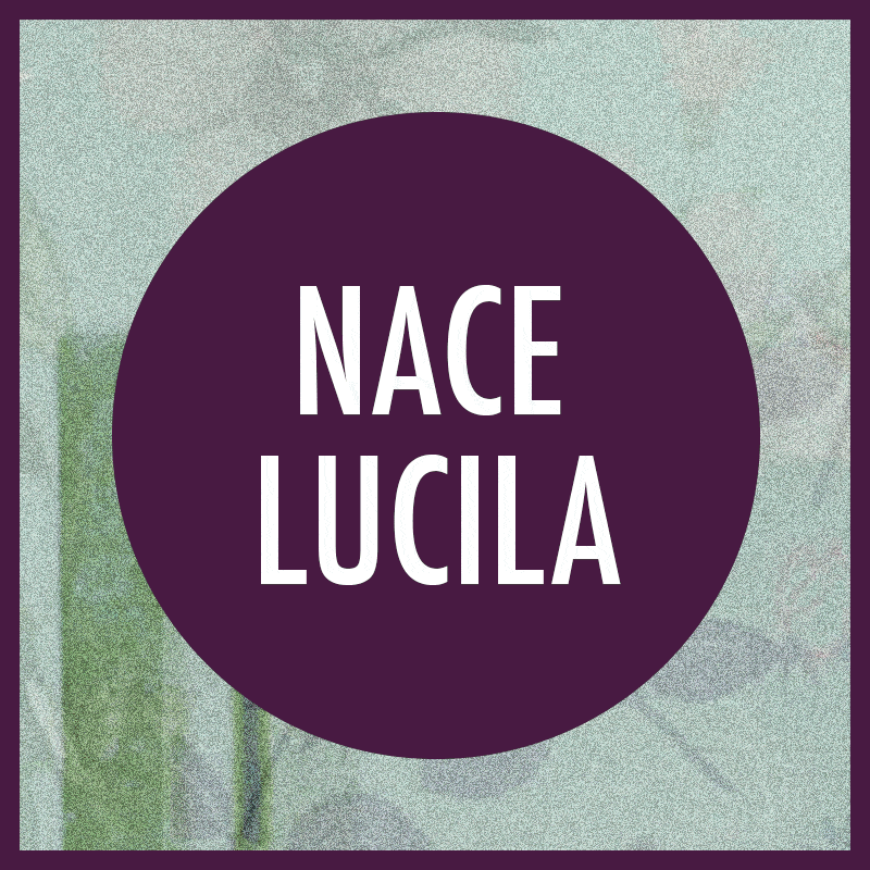 Gabriela Mistral Poem GIF by Universidad de Chile - Find & Share on GIPHY