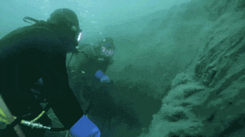 Marine Equipment GIFs - Find & Share on GIPHY