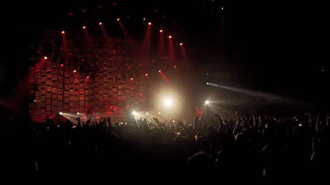 Disturbed GIF - Find & Share on GIPHY