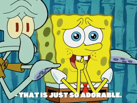 So-adorable GIFs - Get the best GIF on GIPHY