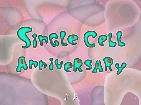 Single-cell-anniversary GIFs - Get the best GIF on GIPHY