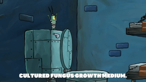 Spongebob Dumped Gif