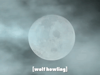 Red Wolf Howling Gif