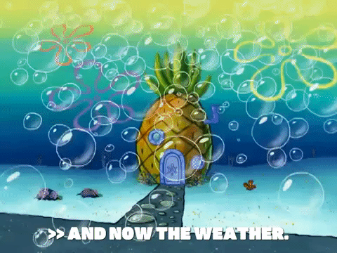 Season 6 Episode 25 GIF by SpongeBob SquarePants - Find & Share on GIPHY