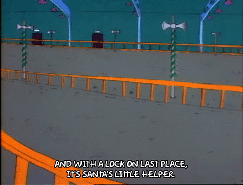 Horse Race Track GIFs - Get the best GIF on GIPHY