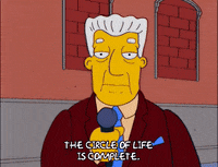 Circle Of Life Lion King Gif