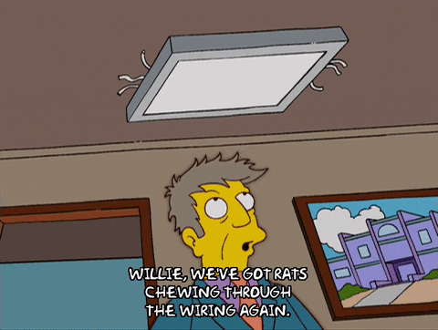 Through-the-wire GIFs - Find & Share on GIPHY