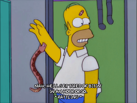 Snake Simpsons Quotes
