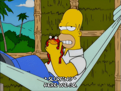 Cane Toad GIFs - Get the best GIF on GIPHY