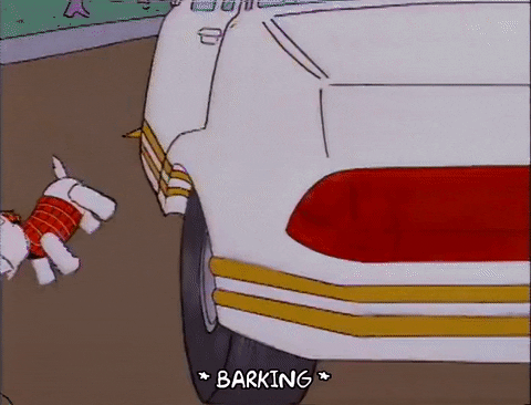 Flipping Dog In A Red Sweater GIFs - Get the best GIF on GIPHY
