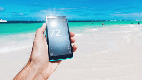 Sensi Wifi GIFs - Get the best GIF on GIPHY