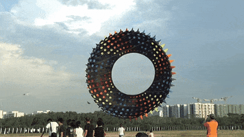 Kite GIFs - Find & Share on GIPHY