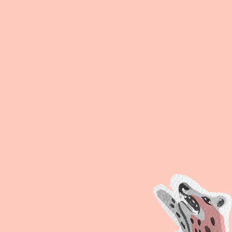 Tiger Leap GIFs - Get the best GIF on GIPHY